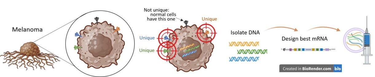 Atualização sobre o estado das vacinas contra o melanoma - AIM na ...
